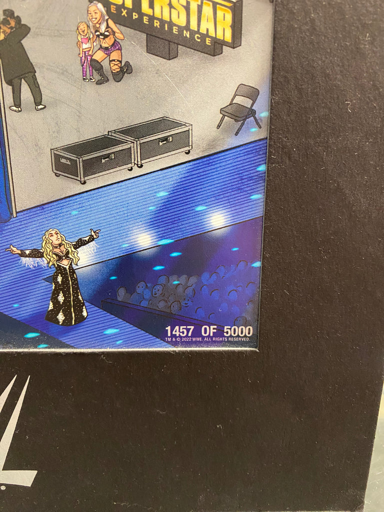 WWE SuperStar Experience LIMITED EDITION Print W/ Matte - Numbered /50 ...